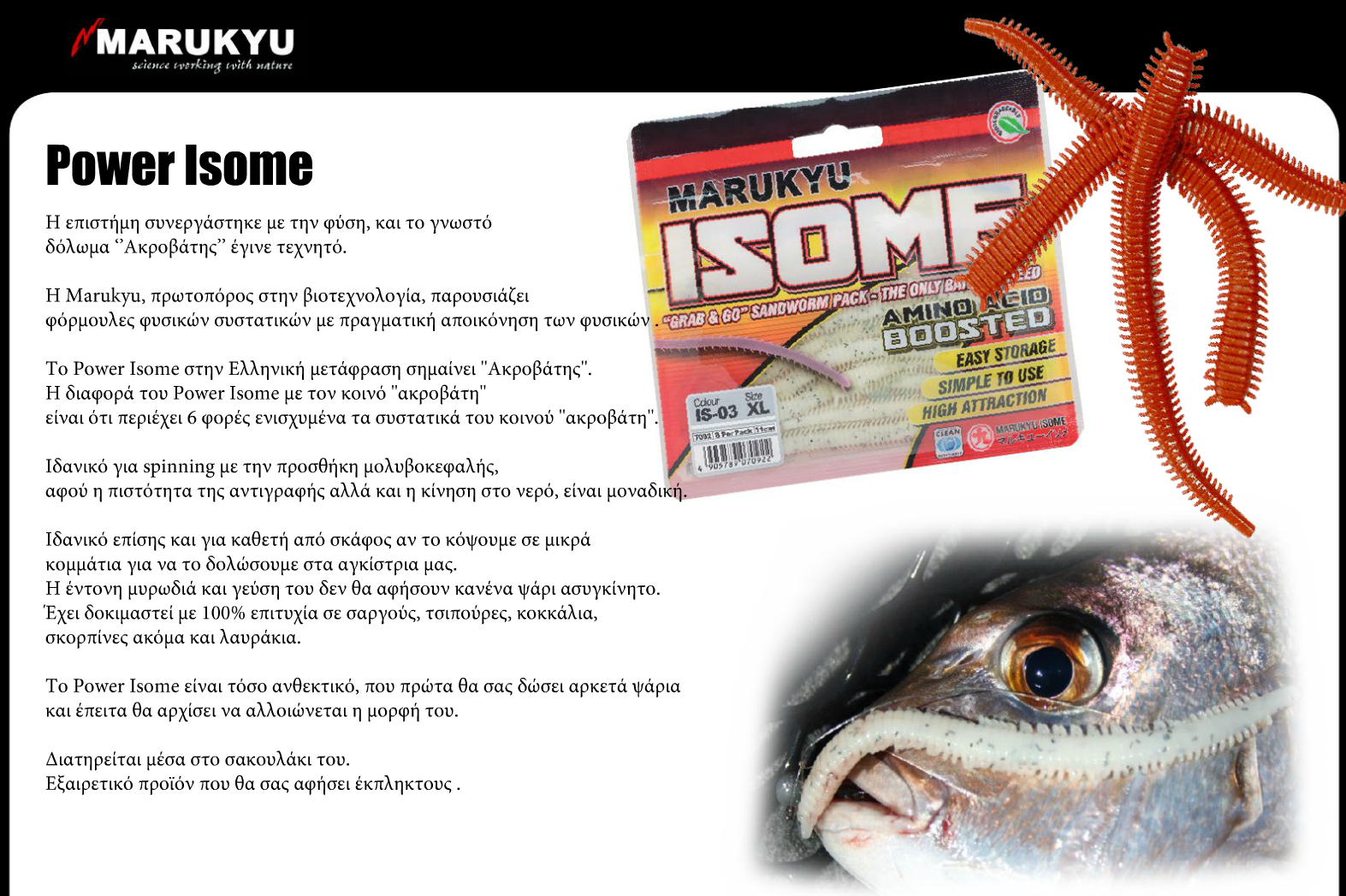 Thalassashop. MARUKYU POWER ISOME (LARGE 11cm)